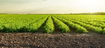 Coconut-Based & Chemical Products | Magnakron