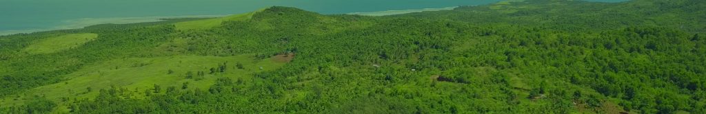 About Magnakron | Magnakron